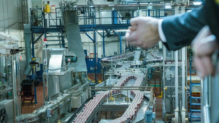 Guaranteed Safe Industrial Hygiene Practice in Food Processing | MadgeTech