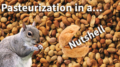 The Safe Processing of Nuts | MadgeTech