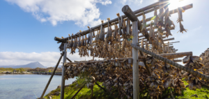 7 Ancient Methods of Food Preservation | MadgeTech