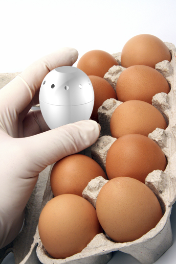 Revolutionize Egg Monitoring with EggTemp and EggTemp-RH Data Loggers ...