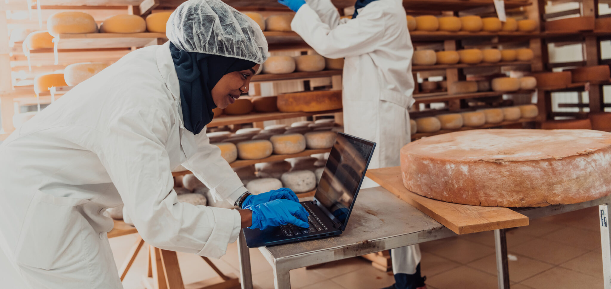 How MadgeTech Software Simplifies Data Analysis for All Industries | MadgeTech